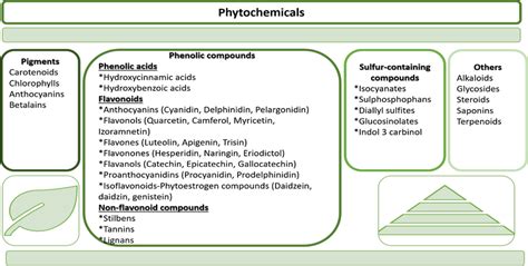 Classification Of Phytochemicals Adapted From Reference 14