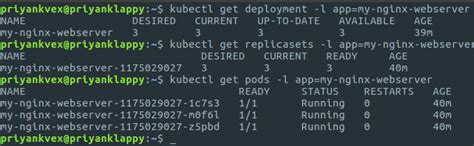 Deploying A Nginx Application Using Kubernetes For Self Healing And Scaling Priyank Verma