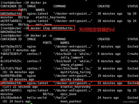 Docker：docker镜像与容器的基本操作docker 后台运行 Csdn博客
