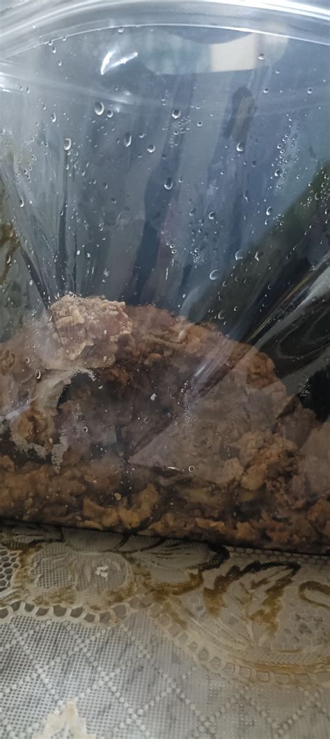 Marilyn Ramirez Delossantos