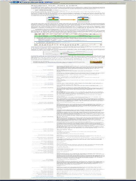 Banderas Tcp Psh Y Urg Pdf Protocolo De Control De Transmisión