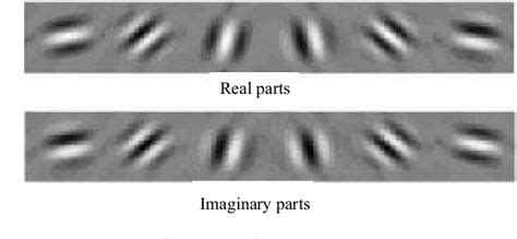 Figure 1 From Illumination Invariant Face Recognition Using Dual Tree Complex Wavelet Transform