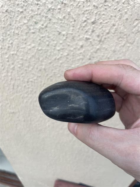 Fossil Inside R Fossilid