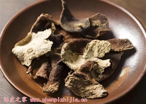 中药陈皮的作用与功效有哪些 陈皮之家