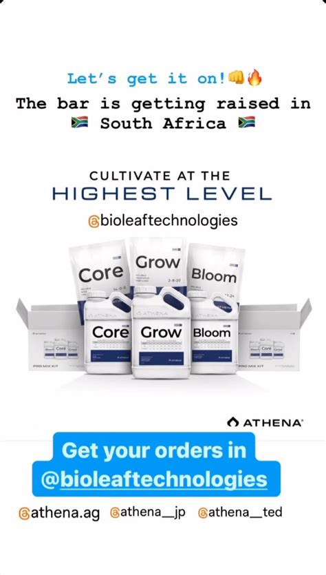 🔥🔥🔥🇿🇦🇿🇦🇿🇦🔥🔥🔥 Bio Leaf Technologies