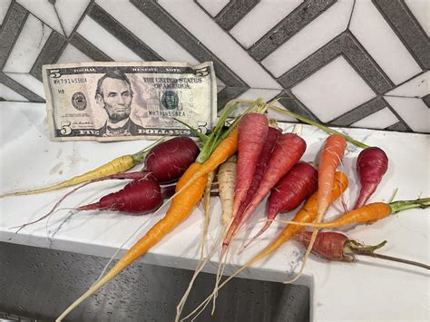 What Is This Bug Carcass Located In La Rgardening