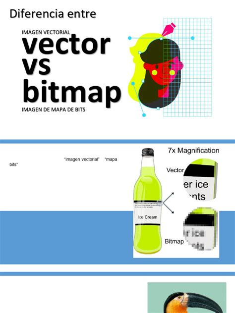 vector vs bitmap pdf