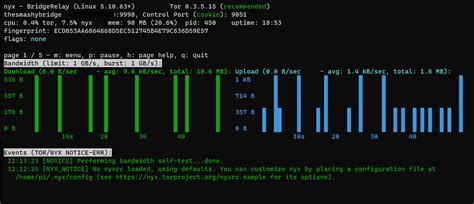 Как создать мост Tor Bridge Relay на Raspberry Pi