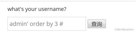 Sql注入sql万能密码 Csdn博客