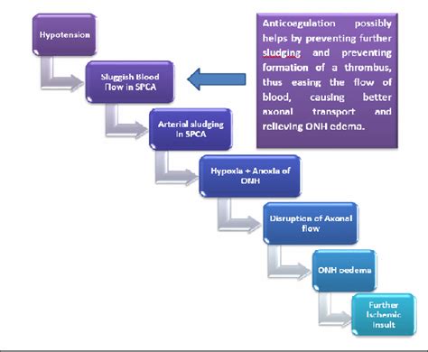 Schematic Algorithm Of Our Proposed Pathophysiology Of Naion And
