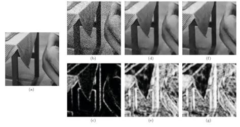 visual comparison of denoising results download scientific diagram