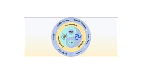 Advances In Functionalized Biocomposites Of Living Cells Combined With Metalorganic Frameworks