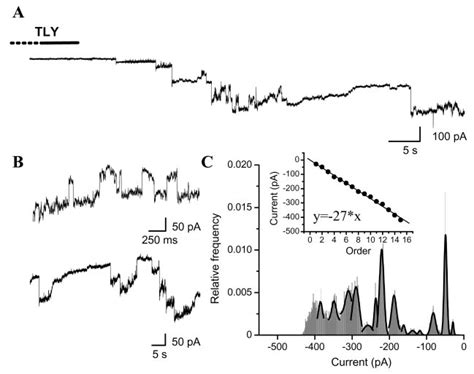 Whole Cell Recordings Of The Membrane Current Elicited By Exposure Of