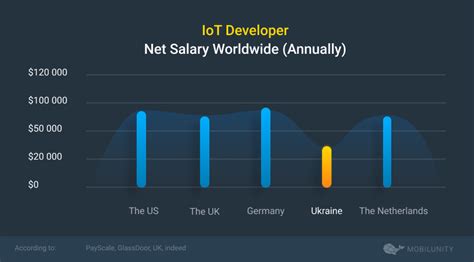 Iot Developer And Iot Engineer Salary Review Mobilunity