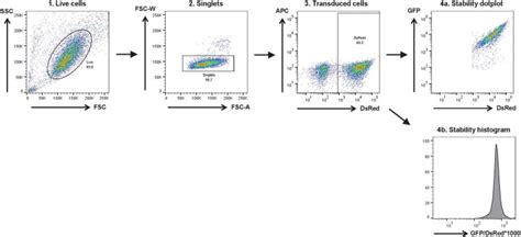 Defining E3 Ligasesubstrate Relationships Through Multiplex Crispr