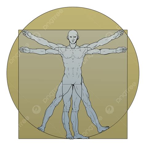 Da Vinci Vitruvian Man Vector
