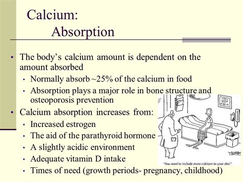 Osteoporosis Alison Mesler Ppt Download