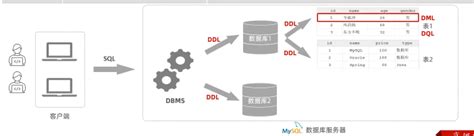 Web开发中mysql数据库的使用web Mysql Csdn博客
