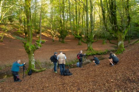 Instantes Fotos De Sebastián Navarrete Hayedo De Otzarreta Parque De Gorbea Vizcaya Seis