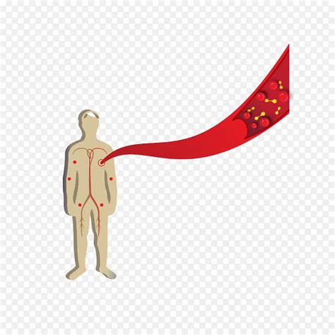 简约卡通血管矢量图png图片素材下载图片编号9973757 Png素材网
