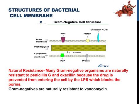 Anti Infective Agents Pdf