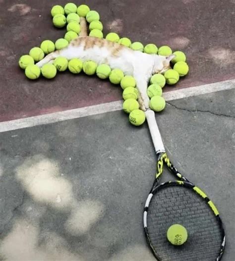 Alex Howitt Alex Howitt Added A New Photo