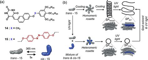 Phototriggered Supramolecular Assembly Acs Omega