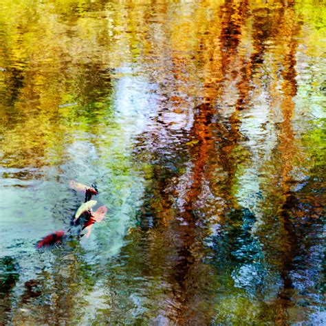 Fran Eber Award Winning Artist