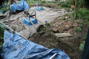 Bark Vs Mulch The Best Option In The Vegetable Garden