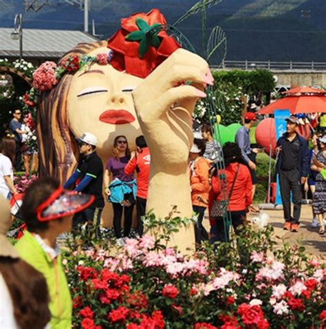 2024 곡성세계장미축제 기본정보 일정 입장료 기간 곡성 장미공원 섬진강 기차마을 5월 꽃구경 네이버 블로그