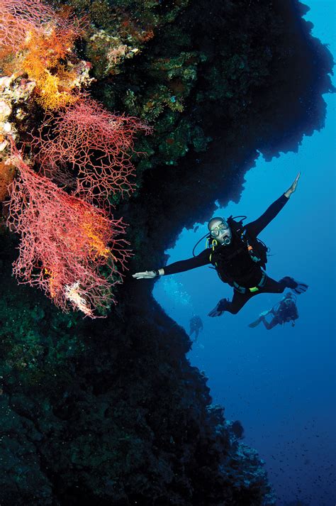 5 Tips For Avoiding Nitrogen Narcosis Scuba Diving