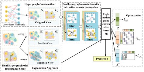 Interactive Enhanced Dual Hypergraph Model For Explainable Contrastive