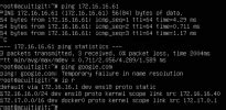 Unable To Ping Google Proxmox Support Forum