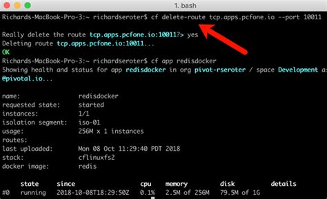 Wait That Runs On Pivotal Cloud Foundry Part 2 Tcp Routable