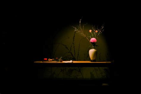 실내 가벼운 가지 고립된 고요한 그림자 꽃 꽃꽂이 꽃무늬 꽃병 대조 독특한 디자인 목조 테이블 미니멀리스트 부족한 분홍색 꽃 스포트라이트