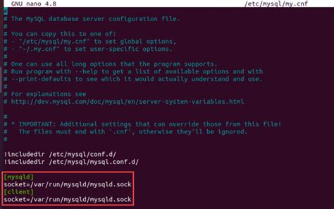 MySQL Server Through Socket Var Run Mysqld Mysqld Sock Error