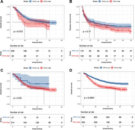 Ck19 Protein Expression The Best Cutoff Value On The Prognosis And The