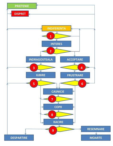 Blogul Meu Schema Logica A Relatiilor