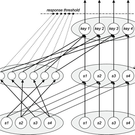 Adapted Cmt Model Schematic Illustration Of The Structure Of The