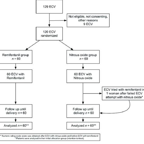 Flow Of Participants Through The Trial Ecv External Cephalic Version