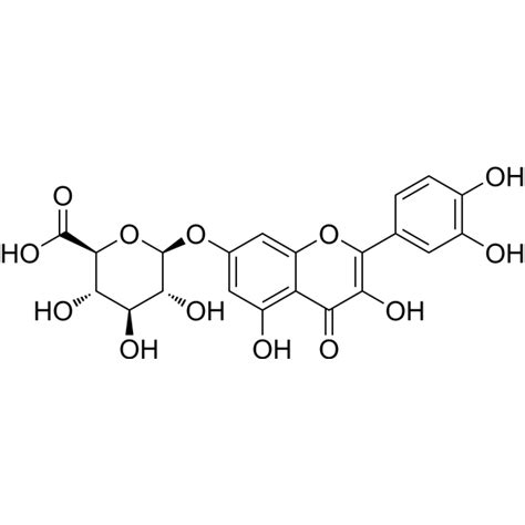 Quercetin 7 Glucuronide Quercetin 7 O β Glucuronide Quercetin Metabolite Medchemexpress