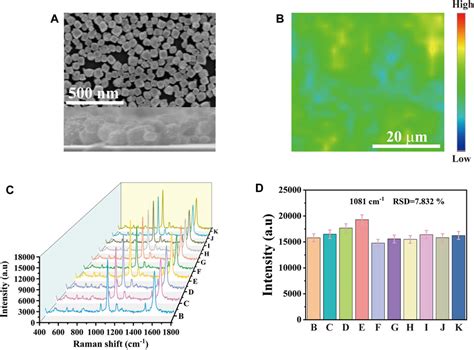 Frontiers Rapid And Sensitive Detection Of Superoxide Dismutase In
