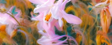 What Is Pattern Grading A Beginners Guide The Thread