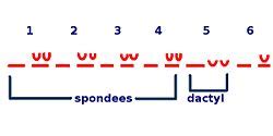 Spondee Citizendium