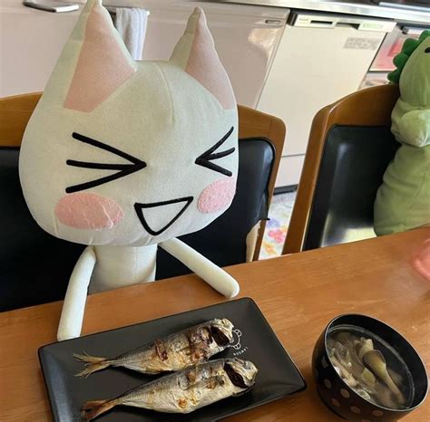 Toro Inoue Eating Toro Inoue Cosplay Toro Kuro And Ricky Cat Icon