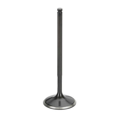 Supertech Subaru 2025ltswrx Sti Intake Valve Ssblack N Nz