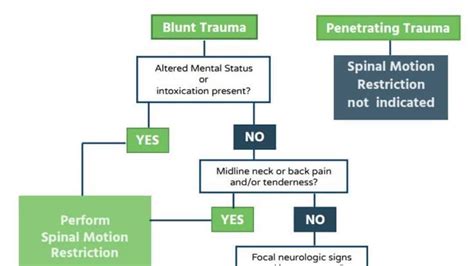Spinal Motion Restriction Limmer Education