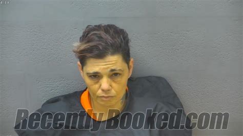 Recent Booking Mugshot For Stephanie Michelle Dabbs In Lynchburg