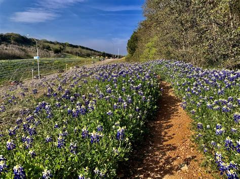 Sustainable Software Architecture Prioritising Open Source Optimisation Architecture