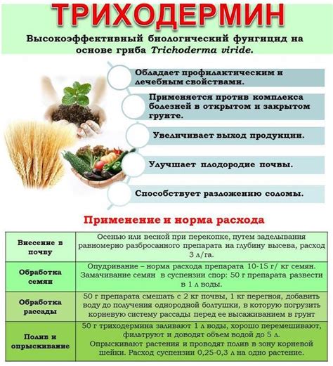 Триходерма Вериде: инструкция, руководство по применению. В каких целях ...